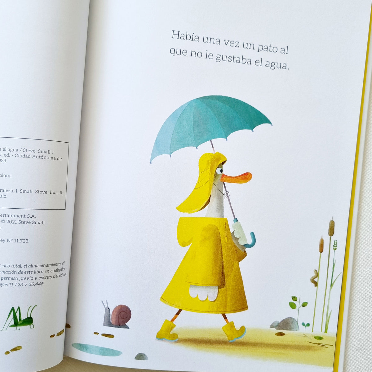 El pato al que no le gustaba el agua – Abrecuentos