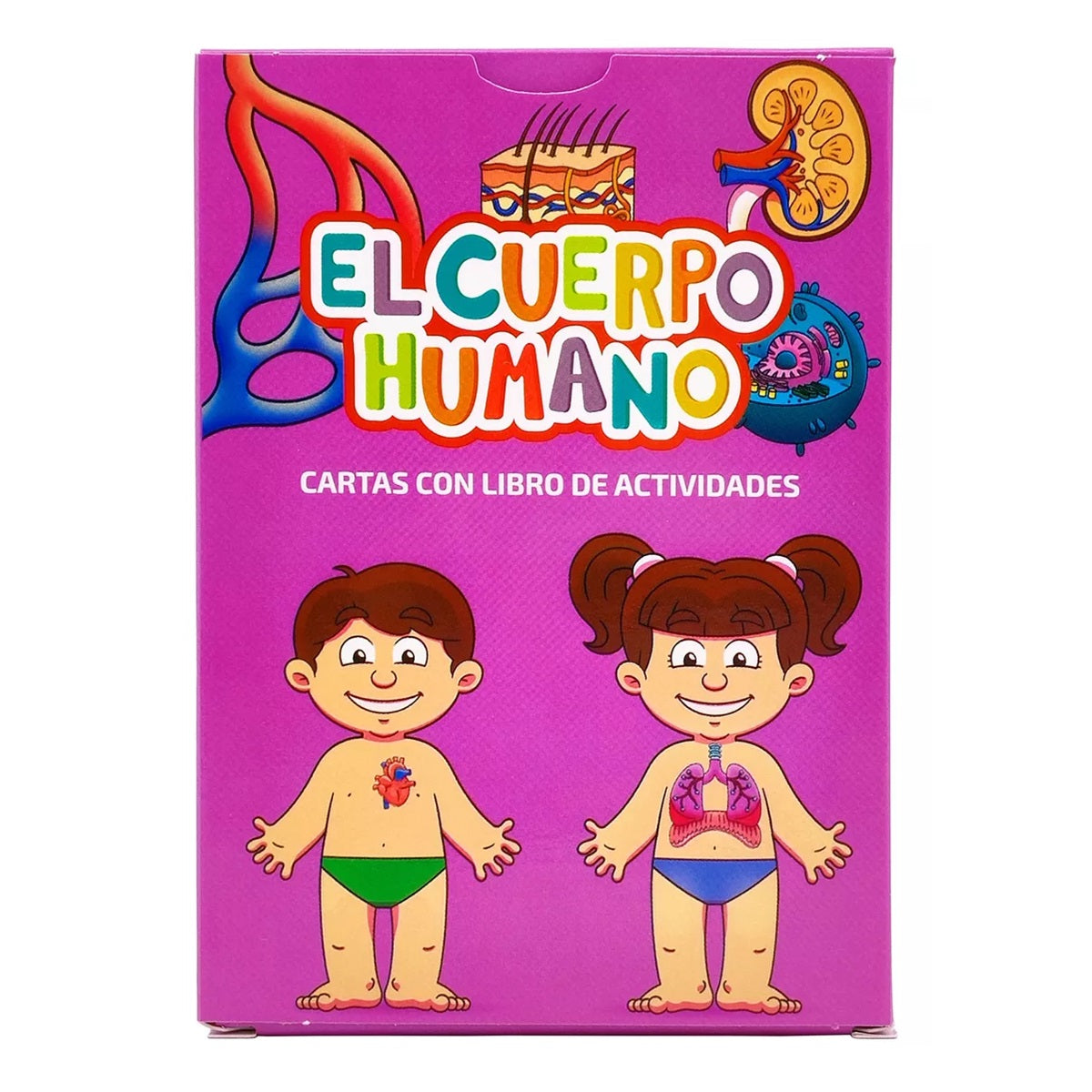 El cuerpo humano. Juego de cartas – Abrecuentos